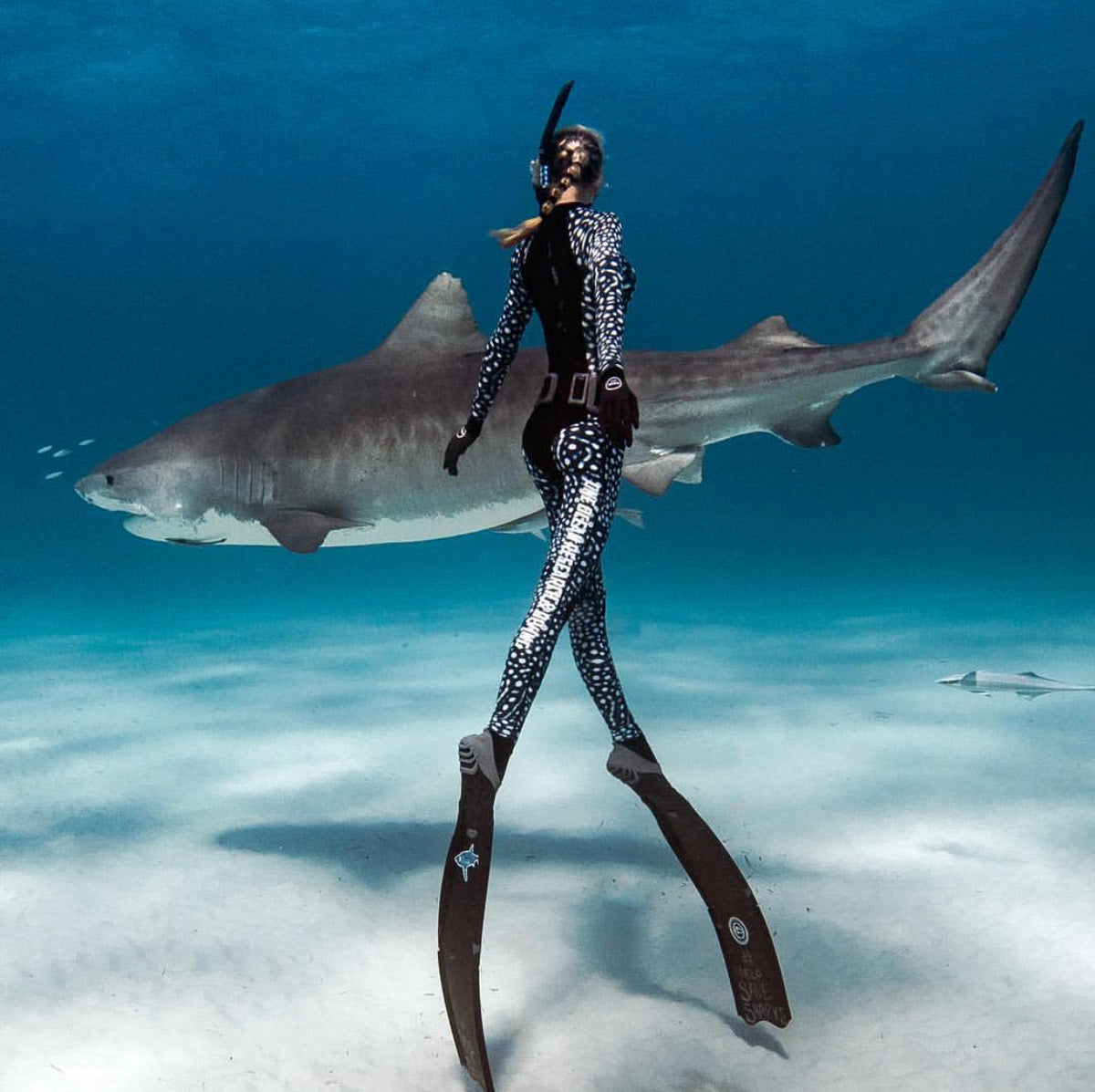 Home page - One Ocean Designs – OneOceanDesigns